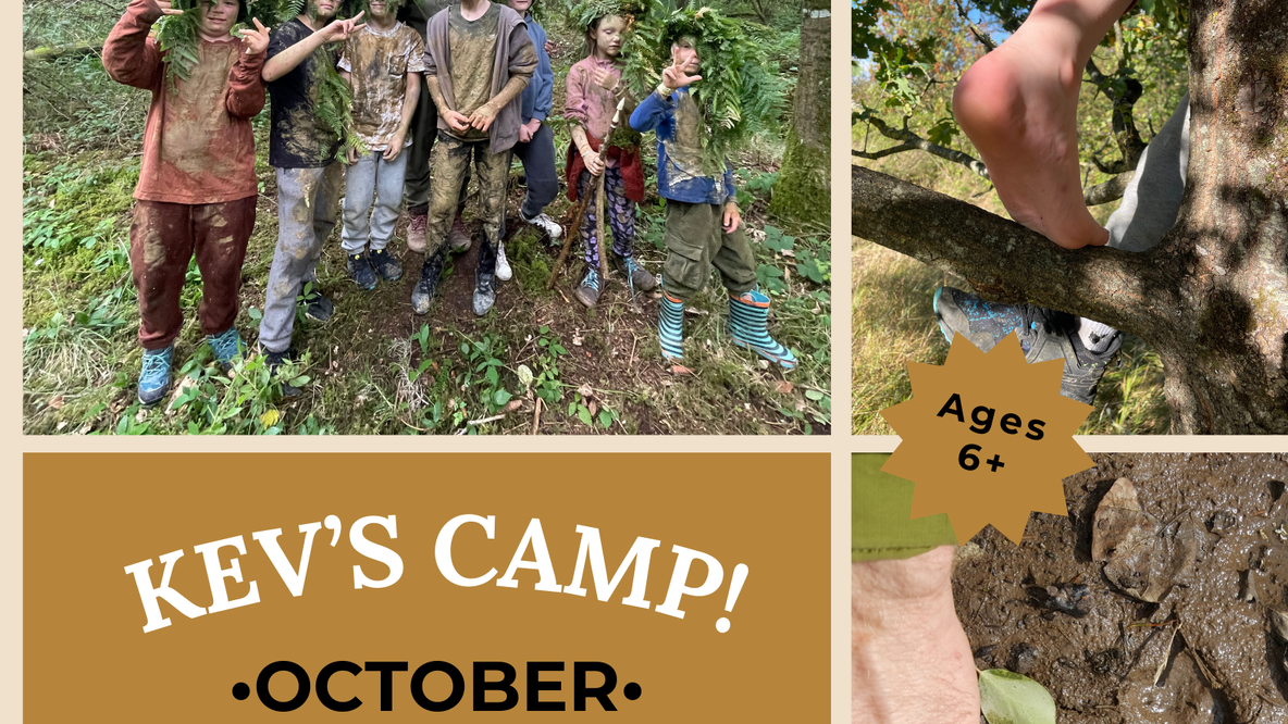 Kev's Camp | October Half Term : Nature Ninjas! - Booking by Bookwhen