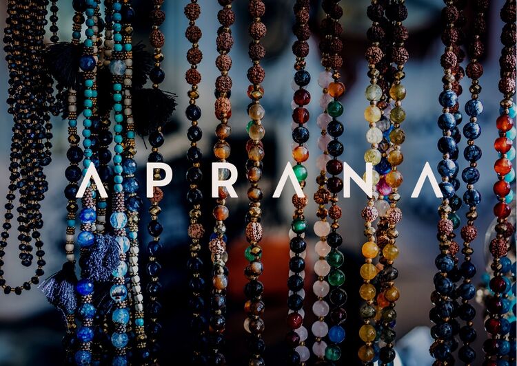 APRANA PRESENTS - reset, restore, rebalance - Booking by Bookwhen