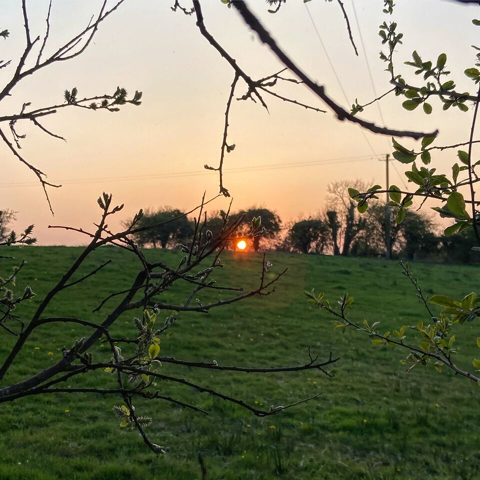 Upcoming events - Booking by Bookwhen