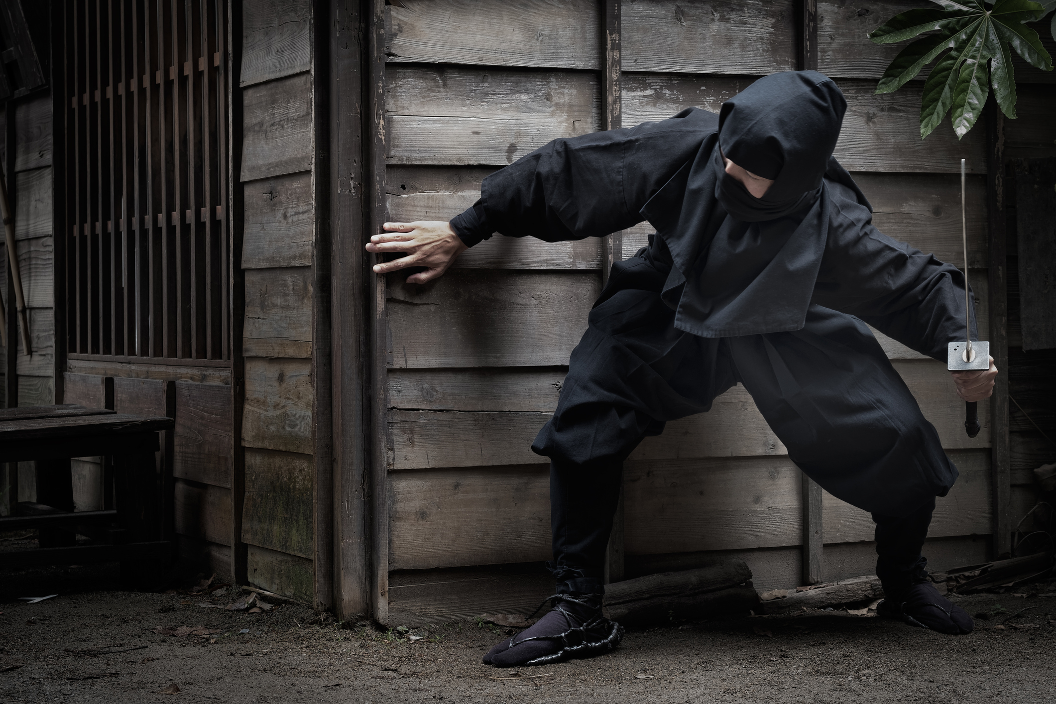 Upcoming events - Booking by Bookwhen