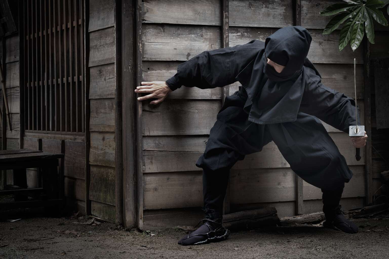 Upcoming events - Booking by Bookwhen