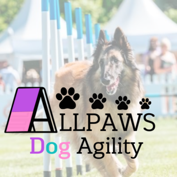 AGILITY TRAINING FOR PUPPIES - Booking by Bookwhen