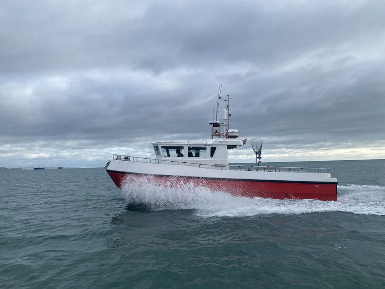 Fishing & Sightseeing Boat Trips on Snapper Charters - Booking by Bookwhen
