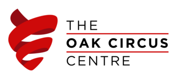 Oak Circus All Access Arts Holiday SEND Fun Days - Big Norfolk Holiday ...