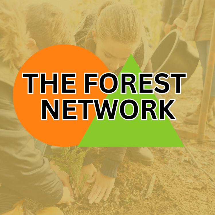 The Forest Network - Booking by Bookwhen