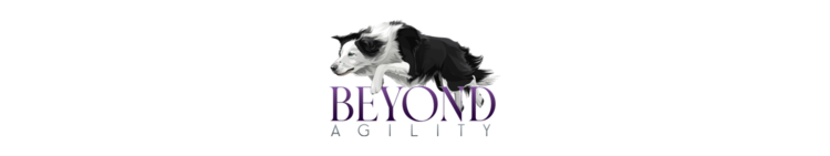 Beyond Agility - Booking by Bookwhen