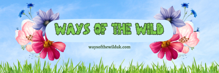 Upcoming events - Booking by Bookwhen