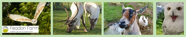 Feadon Farm Wildlife Centre - Booking by Bookwhen