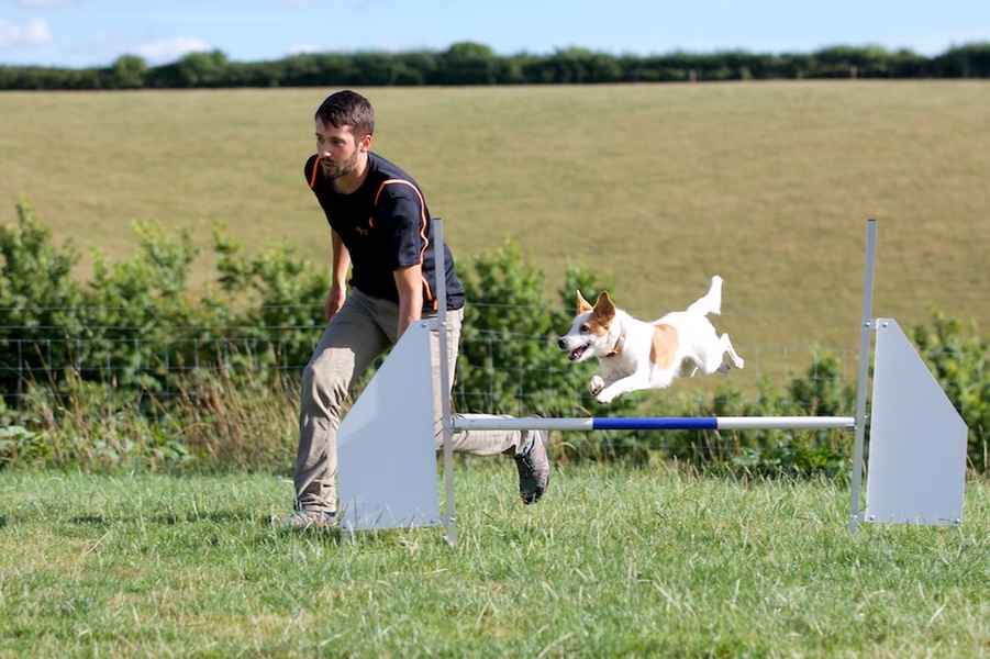 Dogs Matter - Booking by Bookwhen