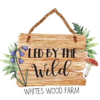 Led by the Wild Events Page - Booking by Bookwhen