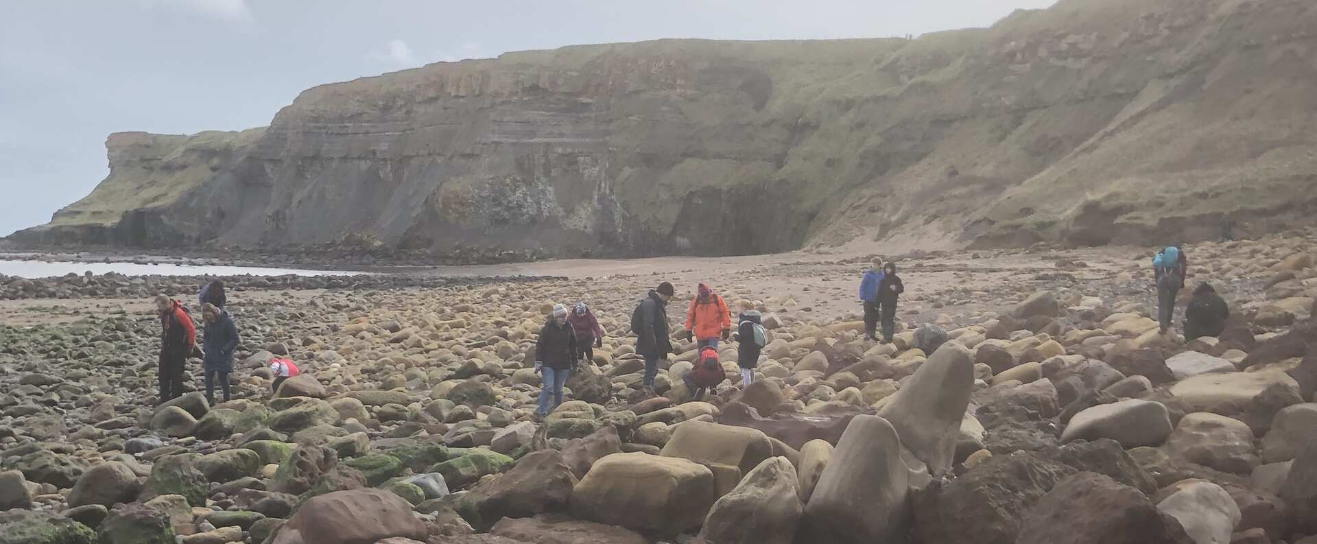 Yorkshire Fossil Hunting Tours - Booking by Bookwhen