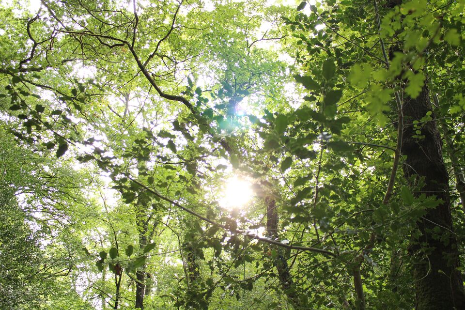 EcoWild - Booking by Bookwhen
