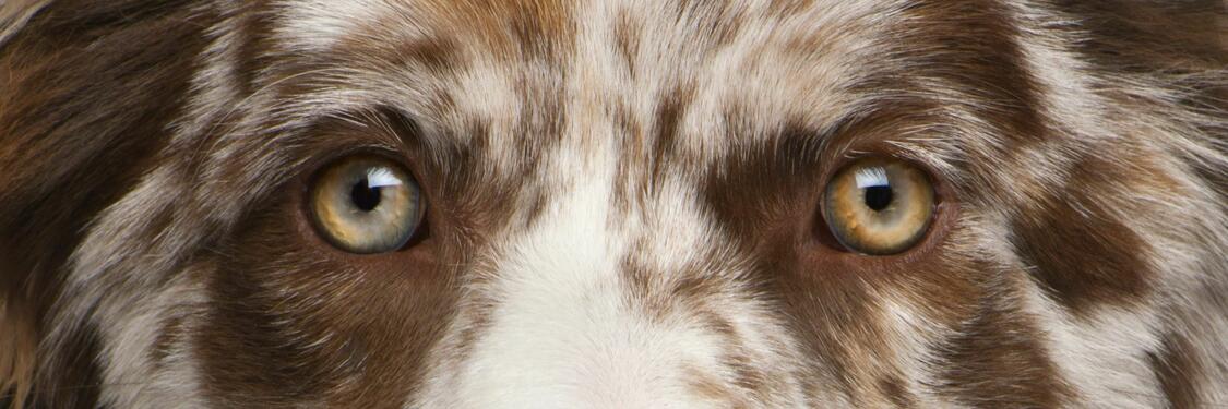 Upcoming events - Booking by Bookwhen