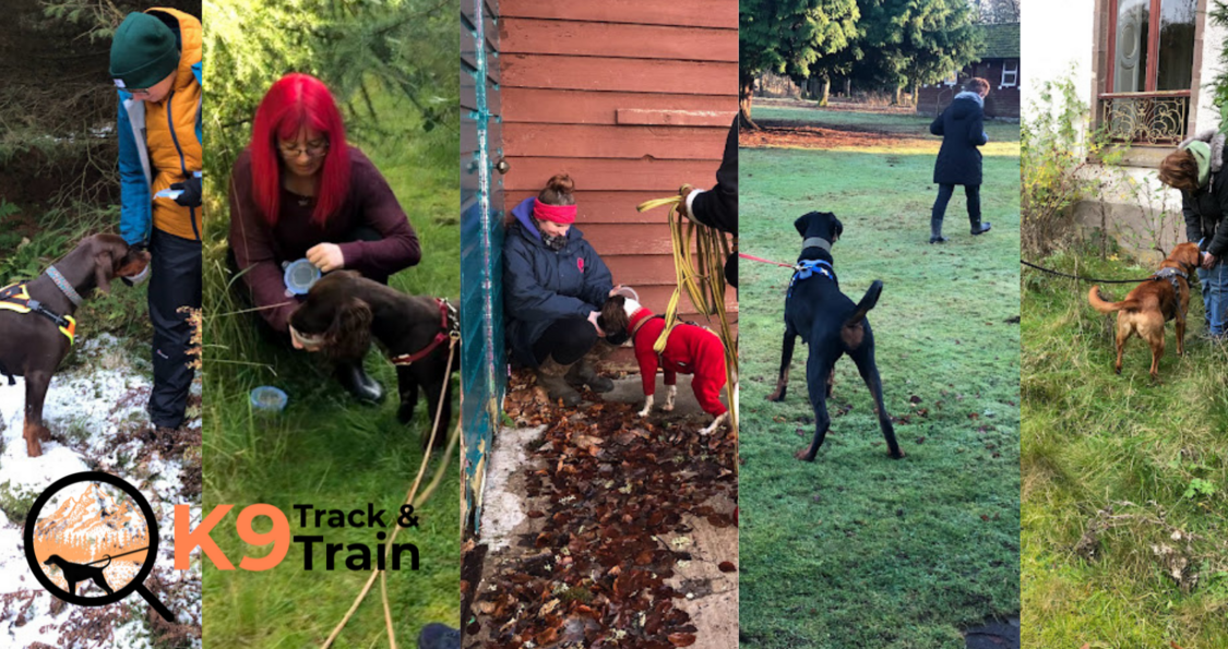 K9 Track & Train - Booking by Bookwhen