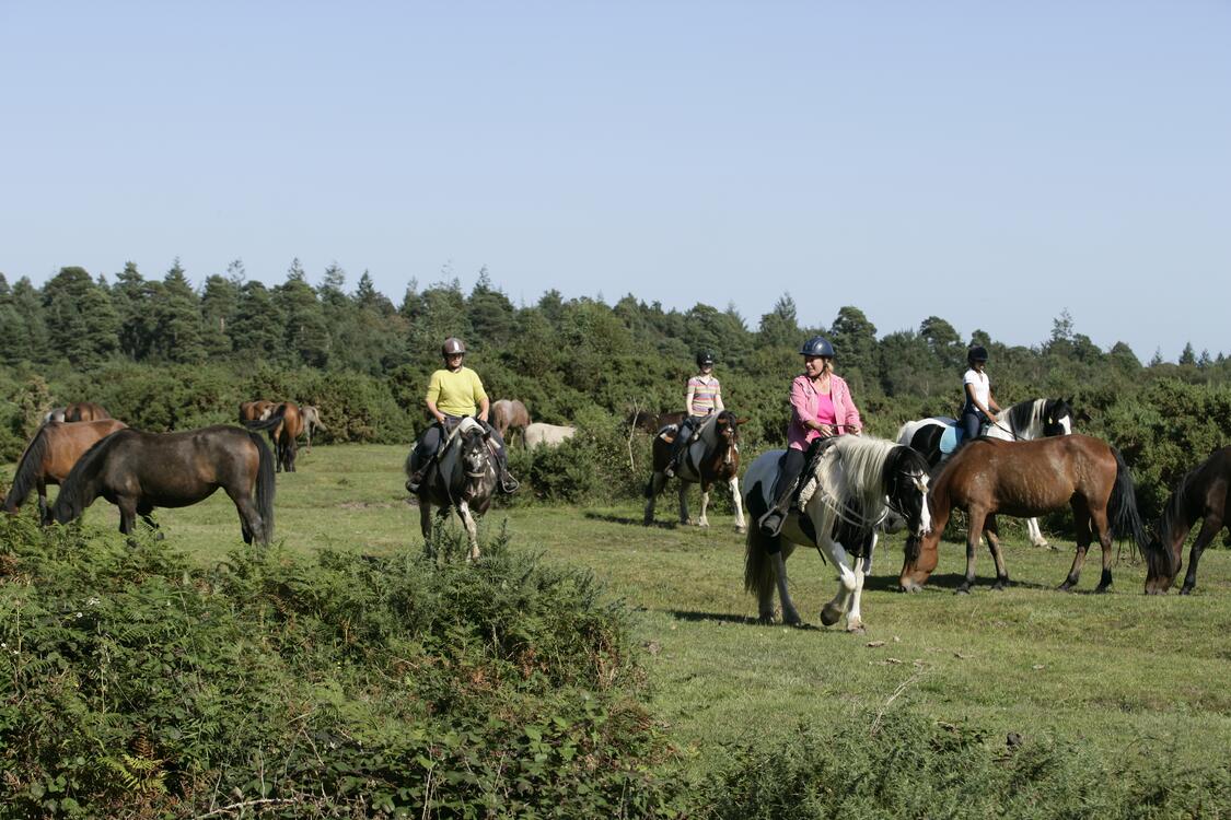 Lessons & Pony Club Activities - Booking by Bookwhen