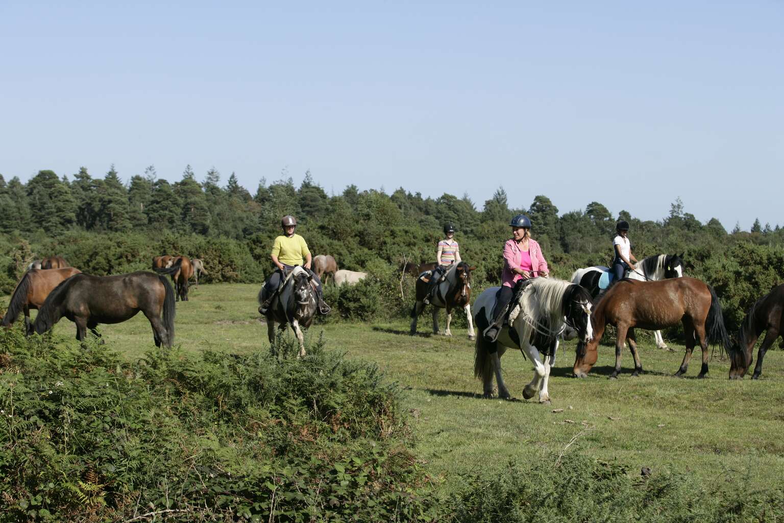 Lessons & Pony Club Activities - Booking by Bookwhen