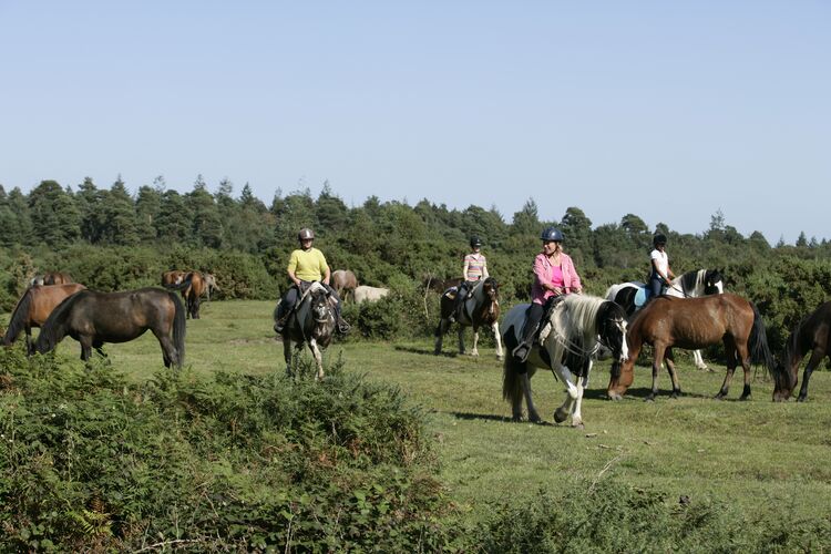 Lessons & Pony Club Activities - Booking by Bookwhen
