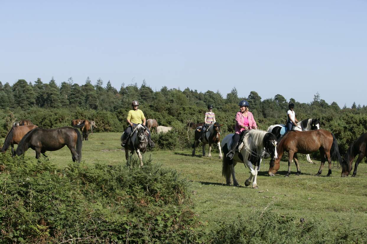 Lisa`s Lessons & Pony Club Activities - Booking by Bookwhen