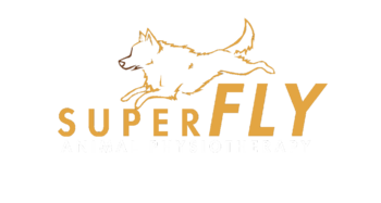 Superfly Events - Booking by Bookwhen