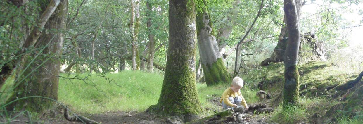 Upcoming events - Booking by Bookwhen