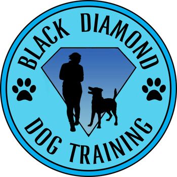 Mantrailing Introduction Workshop - Thorp Arch - Booking by Bookwhen