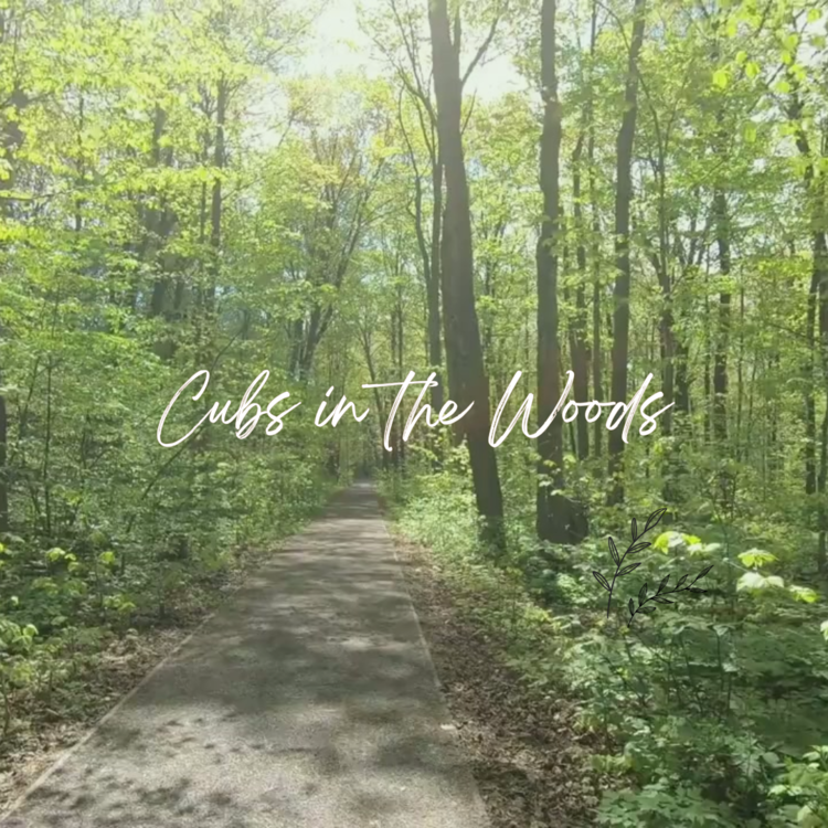 Cubs in the Woods – 🌳 Play Sessions 5 Week Block 🌿 - Booking by Bookwhen